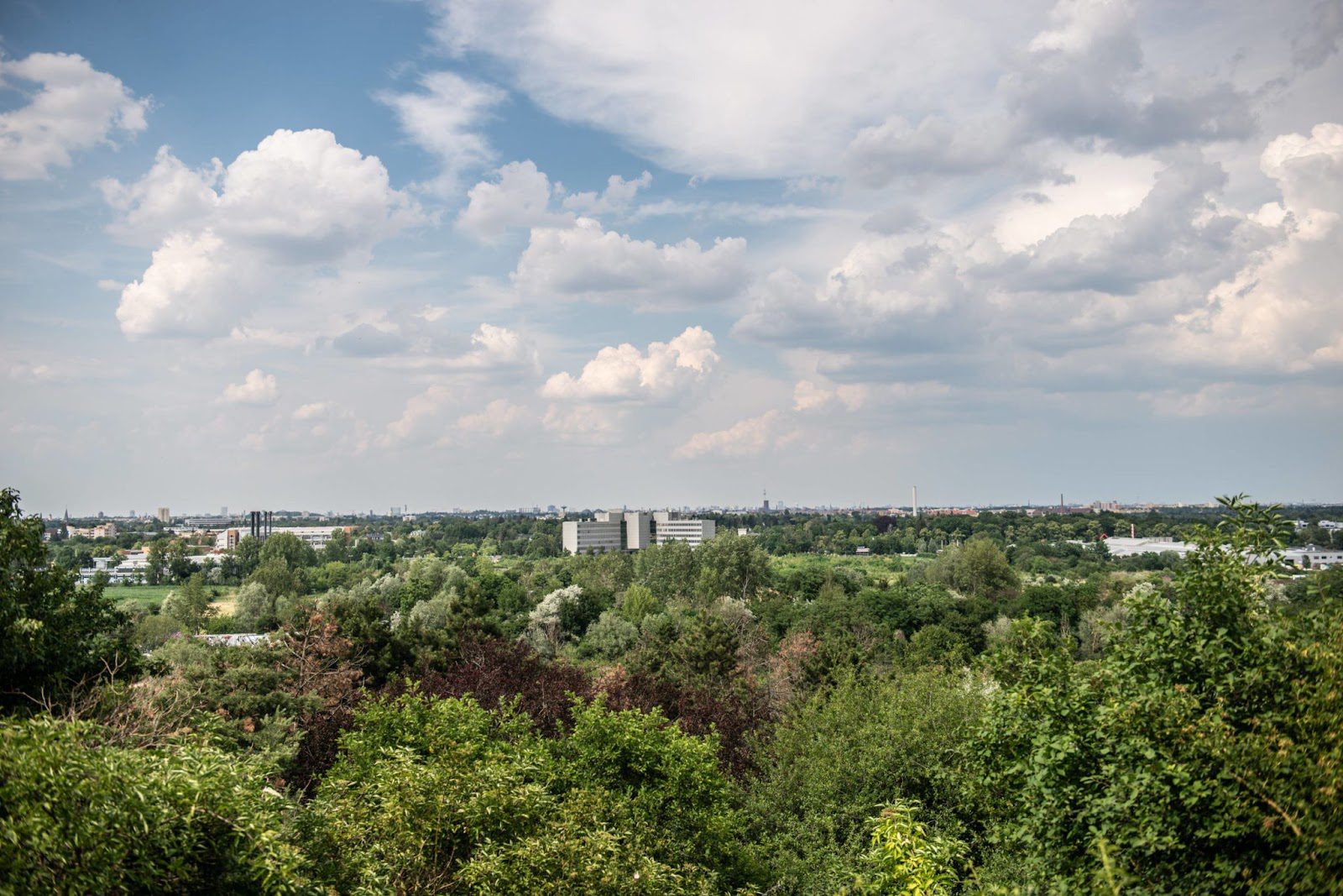 Der Berliner Park Marienfelde – Malerische Oase und Erholungsgebiet ...
